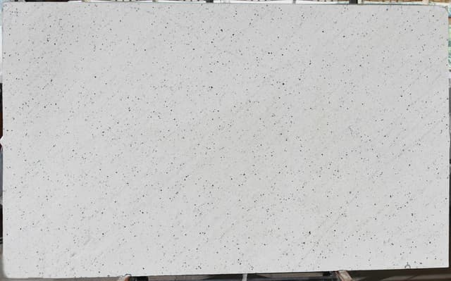 White Pitaya | Stone Basyx Live Inventory